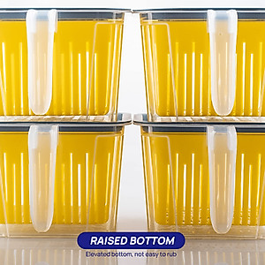 Star Ayze Berry Keeper Containers with Removable Drain Basket - Pack of 4 Fruit And Vegetable Produce Saver Container for Refrigerator Organizer Bin