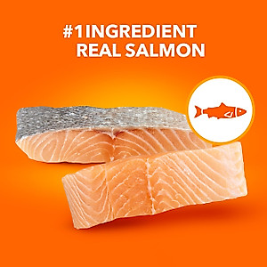 IAMS Proactive Health Adult Healthy Dry Cat Food with Salmon, 7 lb. Bag