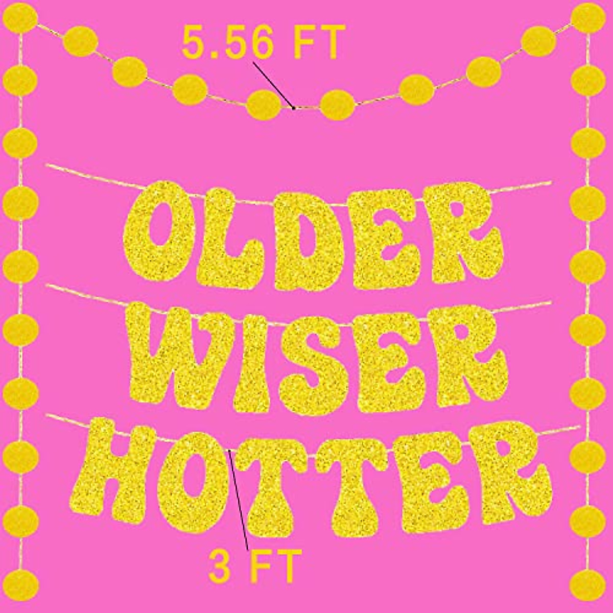Older Wiser Hotter Glitter Banner - Gold | Fun Birthday Party Decorations, 30th Birthday Decor, HBD, Gag Gift, Photobooth Backdrop (gold)