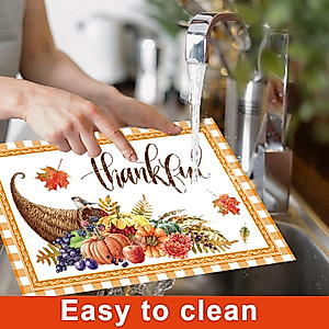 Thanksgiving Placemats Set of 6 Thanksgiving Day Plastic Table Mats Welcome Fall Place Mats Washable Vinyl Rustic Holiday Table Decoration for Indoor Outdoor Autumn Party Kitchen Dining Table