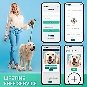 Personalized Dog Tag QR Code Pet ID Tags Online Profile Modifiable, Scan QR Receive Instant Pet Location Alert Email - Red S
