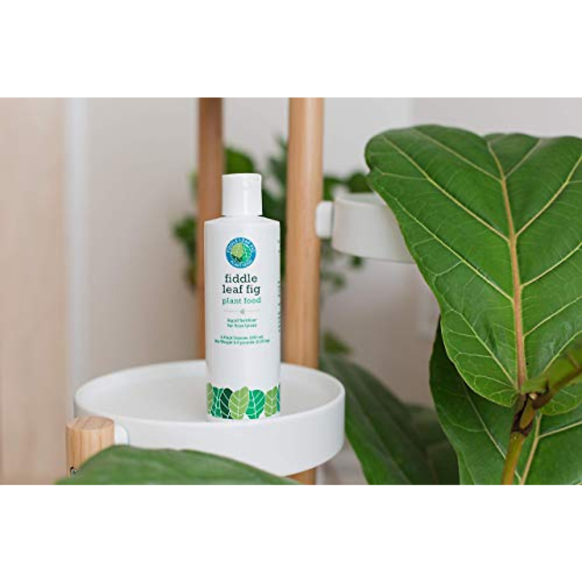 Fiddle Leaf Fig Tree Plant Food for Ficus Lyrata (and Ficus Audrey) – Calcium Fortified, Urea-Free and with NPK Ratio of 3-1-2 for Healthy Roots, Stems and Leaves (8 Ounces))