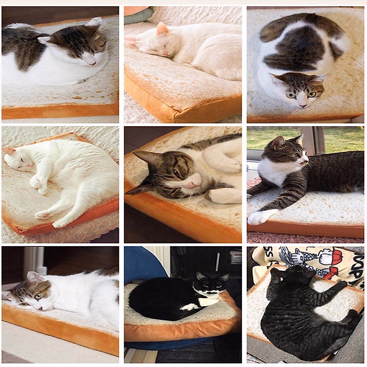 Dofover Soft Cat Cushion Bed Bread Pet Mattress Bed Toast Mats Bedding Pad for Small Medium Dogs & Cats,Sleeping Resting Playing Reading Pillow (15.7''x15.7''x2.6'')