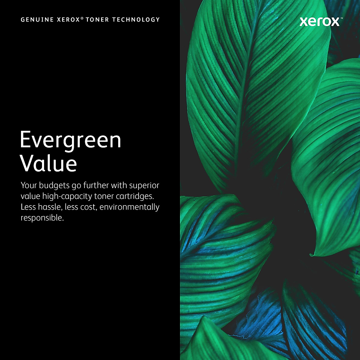 Xerox Phaser 3635 MFP Black Standard Capacity Toner-Cartridge (5,000 Pages) - 108R00793