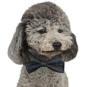 YOY Handcrafted Adorable Pet Bow Ties - 6-pack Adjustable Neck 11"-20" Paisley Bowties Dog Collar Neckties Kitty Puppy Grooming Accessories for Doggy Cat, 6 Colors