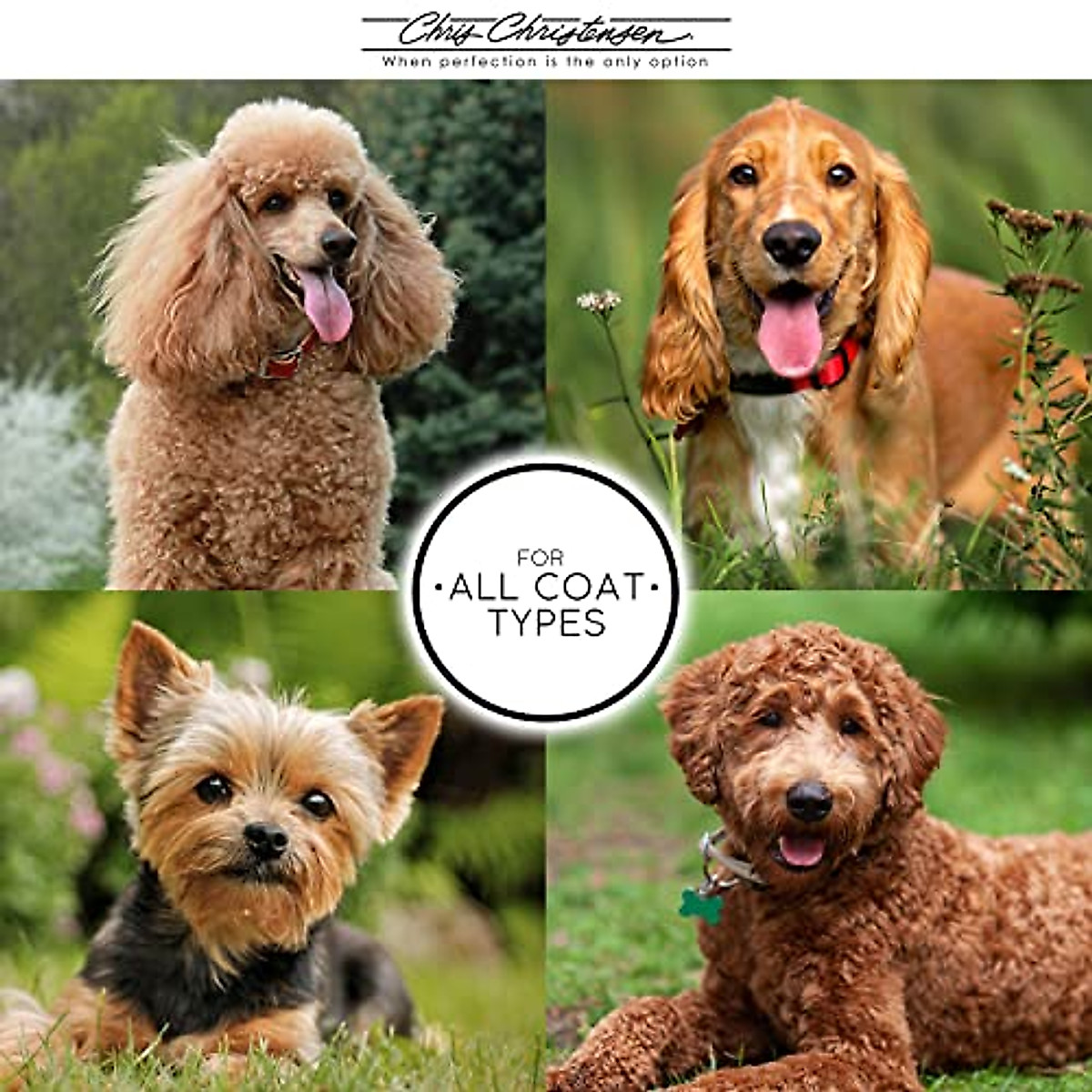 Chris Christensen 27 mm Oblong Pin Dog Brush, Original Series, Groom Like a Professional, Stainless Steel Pins, Lightweight Beech Wood Body, Ground and Polished Tips