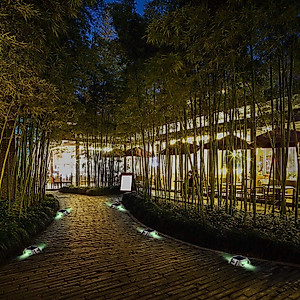 JIGUOOR Solar Deck Lights LED Driveway Lights Solar Powered Dock Light Outdoor IP68 Waterproof Road Markers for Step Sidewalk Stair Boat Garden Ground Pathway Yard (Green, 1 Pack)