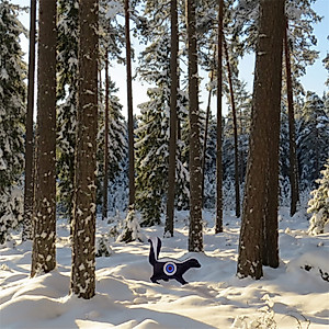 Archery Targets Skunk 3D Shooter for Targeting Practice Training