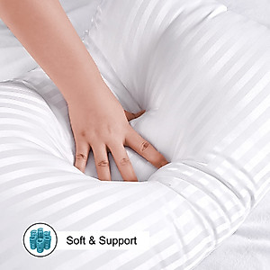 EIUE Bed Pillows for Sleeping 4 Pack Queen Size，Pillows for Side and Back Sleepers,Super Soft Down Alternative Microfiber Filled Pillows,20 x 30 Inches