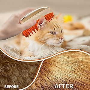 Cat Steam Brush for Shedding，3 in 1 Cat Brush with steam，Portable Pet Hair Removal Tool for Cat and Dog,Self Cleaning Steam Brush for Massage (Standard version)