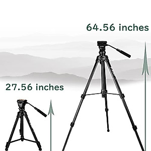 SVBONY SV503 Telescope, 80ED F7 Telescope OTA, 2 inches Dual Speed Focuser, Bundle with SA402 Tripod 1/4 inches Quick Shoe Plate, for Astrophotography