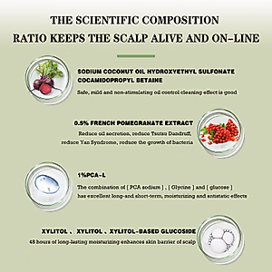 UNILIPO Apple Shampoo Oil Control And Dandruff Removal 450ml 15 Oz No. 29 Refreshing Long-term Oil Control - Solve The Problem Of Itchy Scalp And Dandruff