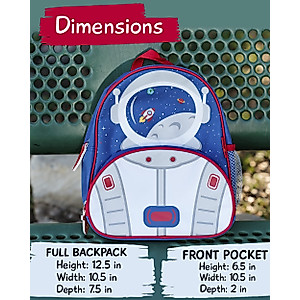 JOY2B Toddler Backpack for Boys and Girls - Basketball Backpack for Girls and Boys - Kids Backpack for School Camp Travel - Preschool Backpack with Water Bottle Holder - Bold Baller