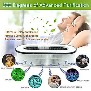 Flintar RP-AP068 3-in-1 H13 Grade True HEPA Replacement Filter, Compatible with RENPHO Compact Air Purifier RP-AP068, 2-Pack