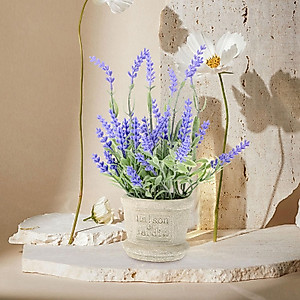 BESPORTBLE Artificial Potted Lavender Plant, Purple, 8.7 x 3.1 x 3.1 inches, Plastic, 1 Count, Indoor Use, Decoration, Party, Office, Wedding, All Seasons