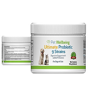 Pet Wellbeing - Ultimate Probiotic 9 Strains for Cats and Dogs - Natural Support for Digestion and Urinary Tract Health 160 grams.