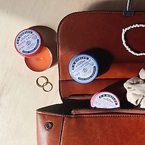 C.O. Bigelow All Purpose Salve Lip Balm Tins, Rose Salve Pack of 3 for Chapped Lips & Dry Skin - Moisturizing Lip, Cuticle 0.8 oz each