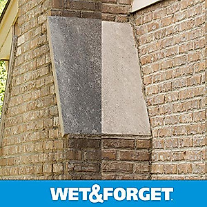 Set of 2 Wet and Forget Moss, Mildew and Algae Stain Remover