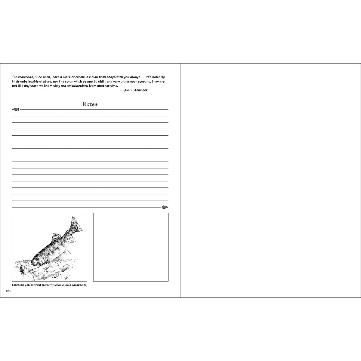 National Parks WPA Poster Art Coloring Sketchbook