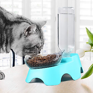 MILIFUN Double Dog Cat Bowls - Pets Water and Food Bowl Set, 15°Tilted Water and Food Bowl Set with Automatic Waterer Bottle for Small or Medium Size Dogs Cats