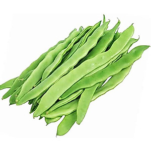 Special! Pole Bean Seeds for Planting Vegetables and Fruits-Chinese Green Bean Seeds 扁豆芸豆.French/Romano Pole Beans.Non GMO Garden Seeds for Home Vegetable Garden-30ct Helda Bean,15g