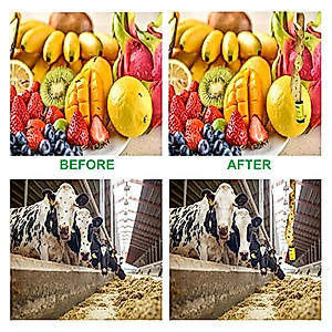 Enposmre 20 Pack Fly Traps for Indoors/Outdoor, Effective Paper Catcher Strips, Fruit Traps, Sticky Glue Hanging Tape Killer Ribbon House, Garden, Bullpen, Stable, Pasture, 20pack-Yellow