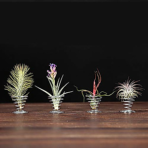 20 Pack Air Plant Stand Container Tillandsia Holder, Fineder Stainless Steel Wire Stand Plant Display Racks - Silver