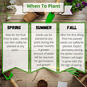 Camas- Pollinator Wildflower Seed Packets - (20) Party Favors to Attract Bees, Butterflies, and Hummingbirds to Your Plant and Flower Garden-Annual Wildflower Mix