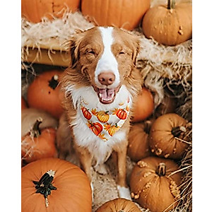 Fall Dog Bandana, Festival Pets Scarf for Thanksgiving Daily Use in Autumn