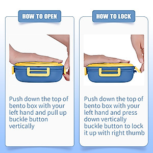 Pedeco Stainless Steel Kid Bento Box,Leak-Proof,3-Compartment,Lunch Box with Portable Cutlery-Ideal Portion Sizes