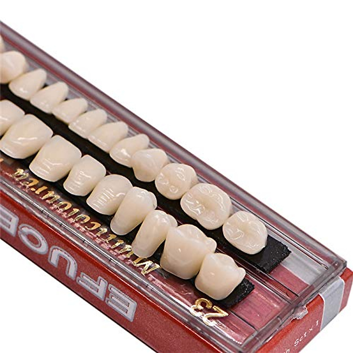 56 Pcs Dental Acrylic Resin Denture Tooth Kit False Tooth 23 A2 for Halloween Horror Teeth(2Sets)