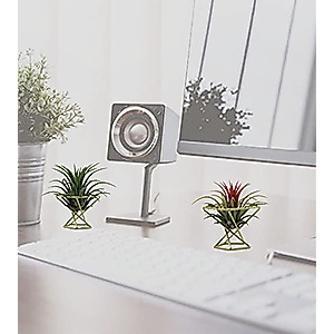 Nwsrayu Pack 5 piece Gold Air plant holder Air Plants Holders Tillandsias Display Air Purifying Plant Container Air Fern Stand Geometric Decor For House, Wedding Party