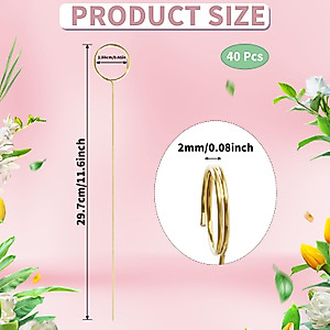 Rimoev 40 Pcs Floral Card Holder Picks, 12 Inch Round Picture Holders, Photo Holder Pick Stick, Gold Floral Place Card Holder, Floral Picks Clips, Photo Picture Holder for Weddin
