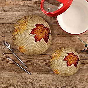 Fall Pot Holders Trivets for Hot Dishes, Vintage Maple Leaves Hot Pot Holder Trivets Cotton Thread Weave Trivet Heat Resistant Kitchen Decorative 2 Pcs