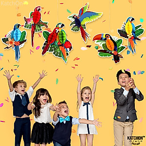 KatchOn, Tropical Birds Honeycomb Cutouts - Big, Pack of 6 | Luau Party Decorations | Tropical Party Decorations, Hawaiian Party Decorations, Rainforest Decorations | Jungle Decorations, Tiki Party