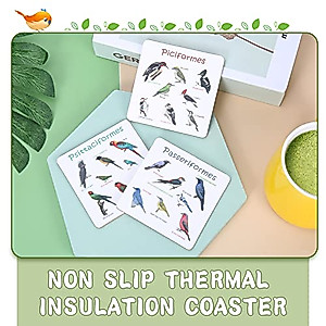 Bird Coasters, 6PCS Bird Coasters with Gift Card, Handmade Coasters for Drinks, Square Wooden Coaster Set for Bird Lovers Friends Home Kitchen Decor Bar Housewarming Gift (Birds)