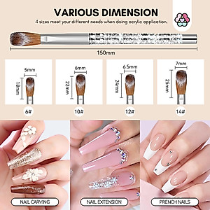 Saviland 4PCS Acrylic Nail Brush Set - Size 6/10/12/14 Acrylic Nail Brushes for Acrylic Application, Professional Acrylic Brushes for Nails Set with Nail Brush Holder & Cuticle Pusher for Manicure DIY