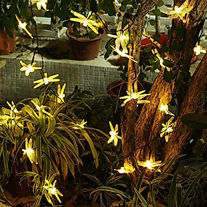 LOHOME 30 LED Solar String Light Outside Waterproof Solar Powered Lamps, Dragonfly Fairy Lights Garden Lamp for Outdoor, Home, Lawn, Wedding, Patio, Party and Holiday Decorations (Warm White)