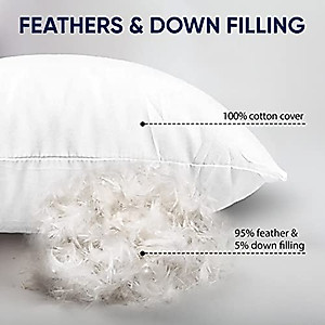 CANVELLO-Exquisite Down Pillow/Throw Cushion: Feather Pillows Elegance & Art | Iconic Throw Pillows with Ikat Design  | Soft Velvet Silk  (16"x16")