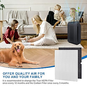 116130 Replacement Filter H for Winix 5500-2 Air Purifier and AM80 Models, Ture HEPA Filter and Activated Carbon Pre-Filters Combo Pack, Part No. 116130 replacement filter (Winix 5500-2- 1 Sets)