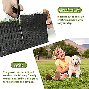 Loytryal 39.4 x 31.5 Inches Fake Grass Pee for Dogs Artificial Grass Rug Turf for Puppy Potty Training Washable Grass Mat Pee Grass for Dog Potty Tray