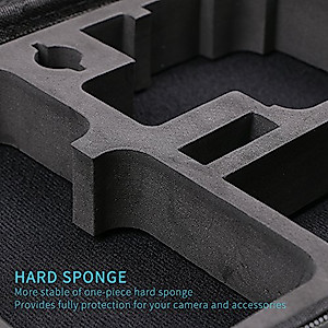 SUREWO Surface-Waterproof Carrying Case Compatible with GoPro Hero 11/10/9/8/7/(2018)/6/5 Black,DJI osmo action,AKASO/Campark/YI Action Camera and More(Large)