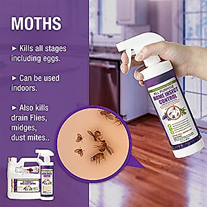 EcoVenger by EcoRaider All Purpose Insect Control 16 OZ, Fleas, Fruit Flies, Gnats, Moths, Roaches, Spiders, Fast Kill, Lasting Prevention, Kill Eggs, Plant Extract Based & Non-Toxic, Child & Pet Safe