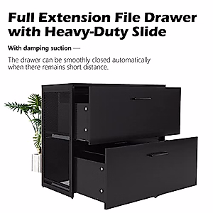TOPSKY 2 Drawers Wood Lateral File Cabinet for Letter Size/A4/Legal File Full Extension Soft Close Concealed Slide (Black)