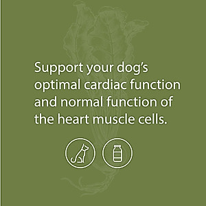 Standard Process Canine Cardiac Support - Dog Heart Health Support Supplement - Nutritional Supplement Formula to Support Cardiac Function - Pet Health Supplement with Selenium - 25 g