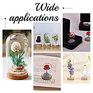PH PandaHall 10pcs Cloche Bell Jar, Glass Display Dome with Cork Base 8ml Mini Glass Bottles Dome Decorative Jars Display Case for Flower Storage Home Christmas Party Favor Decoration, 0.86x1.4inch