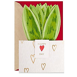 Hallmark Paper Wonder Pop Up Valentines Day Card (Snake Plant) (5VFE1127)