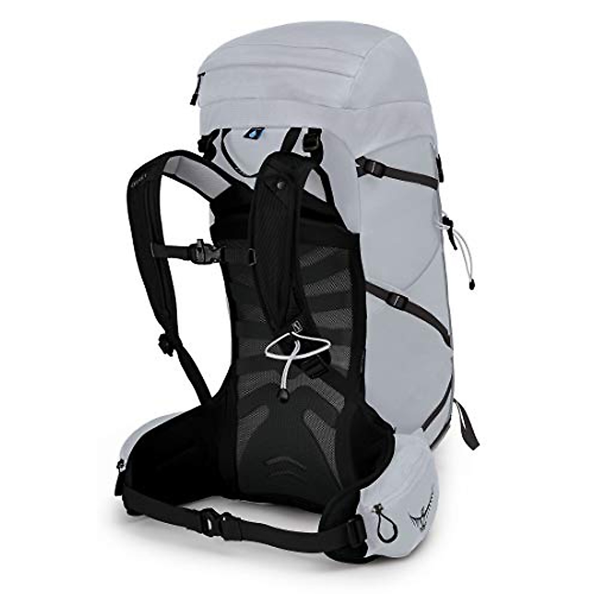 Osprey Tempest 30L Women's Hiking Backpack with Hipbelt, Aluminum Grey, WM/L