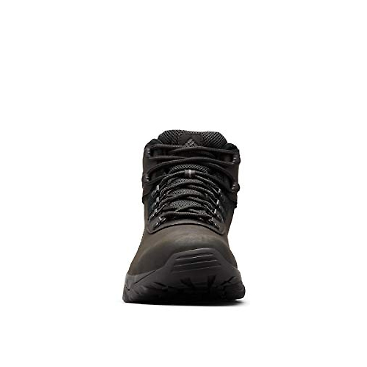 Columbia mens Newton Ridge Plus Ii Waterproof Hiking Boot, Black/Black, 12 US