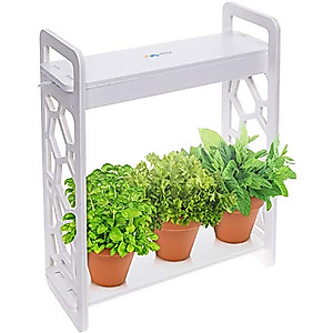 Mindful Design LED Indoor Herb Garden with Timer - at Home Mini Planter Kit for Herbs, Succulents, and Vegetables w/Hexagon Cutout (White)